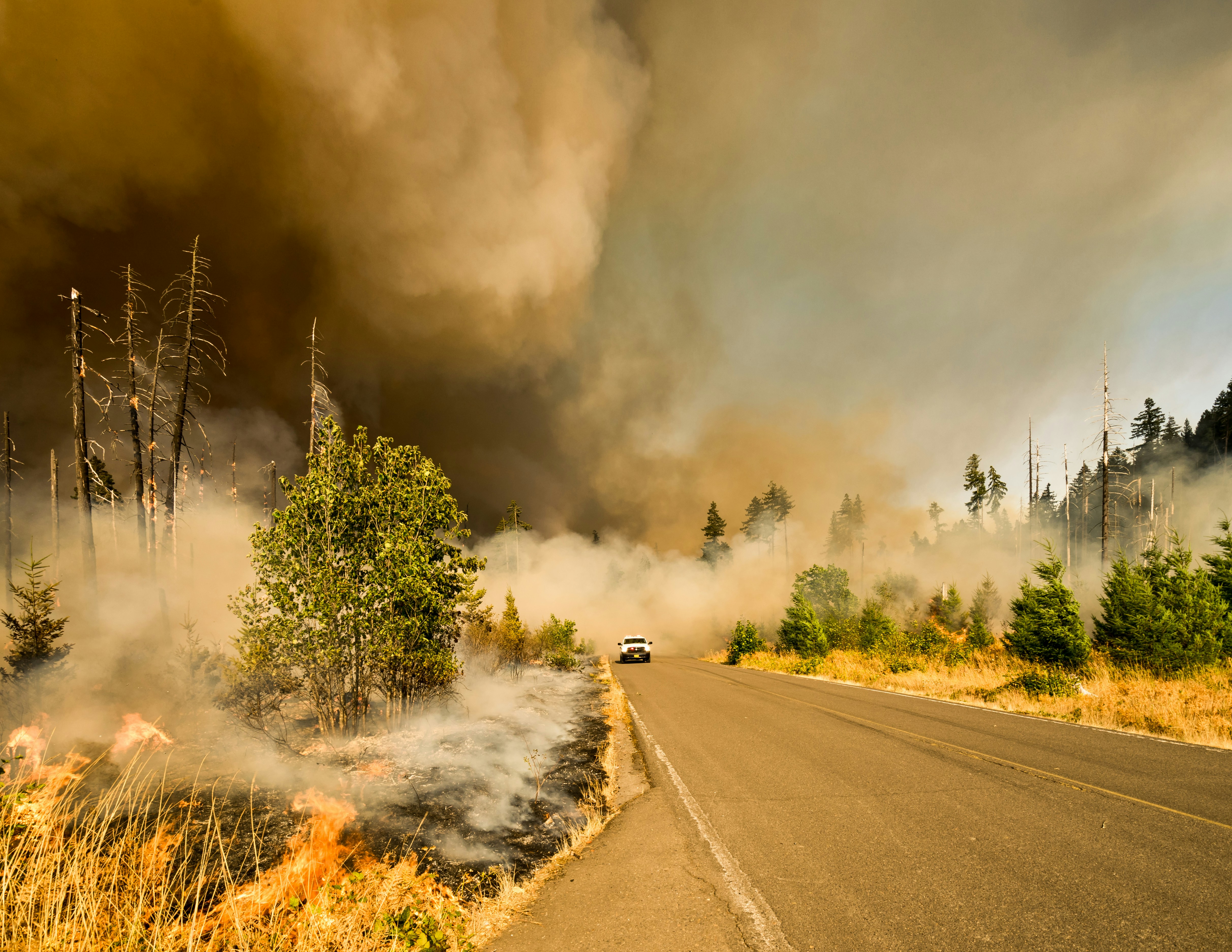 Regulators Miss the Mark on Wildfire Mitigation Plans… Again | Latest ...